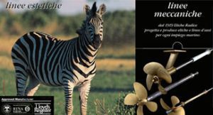 Eliche Radice: components for marine system propulsion worldwide